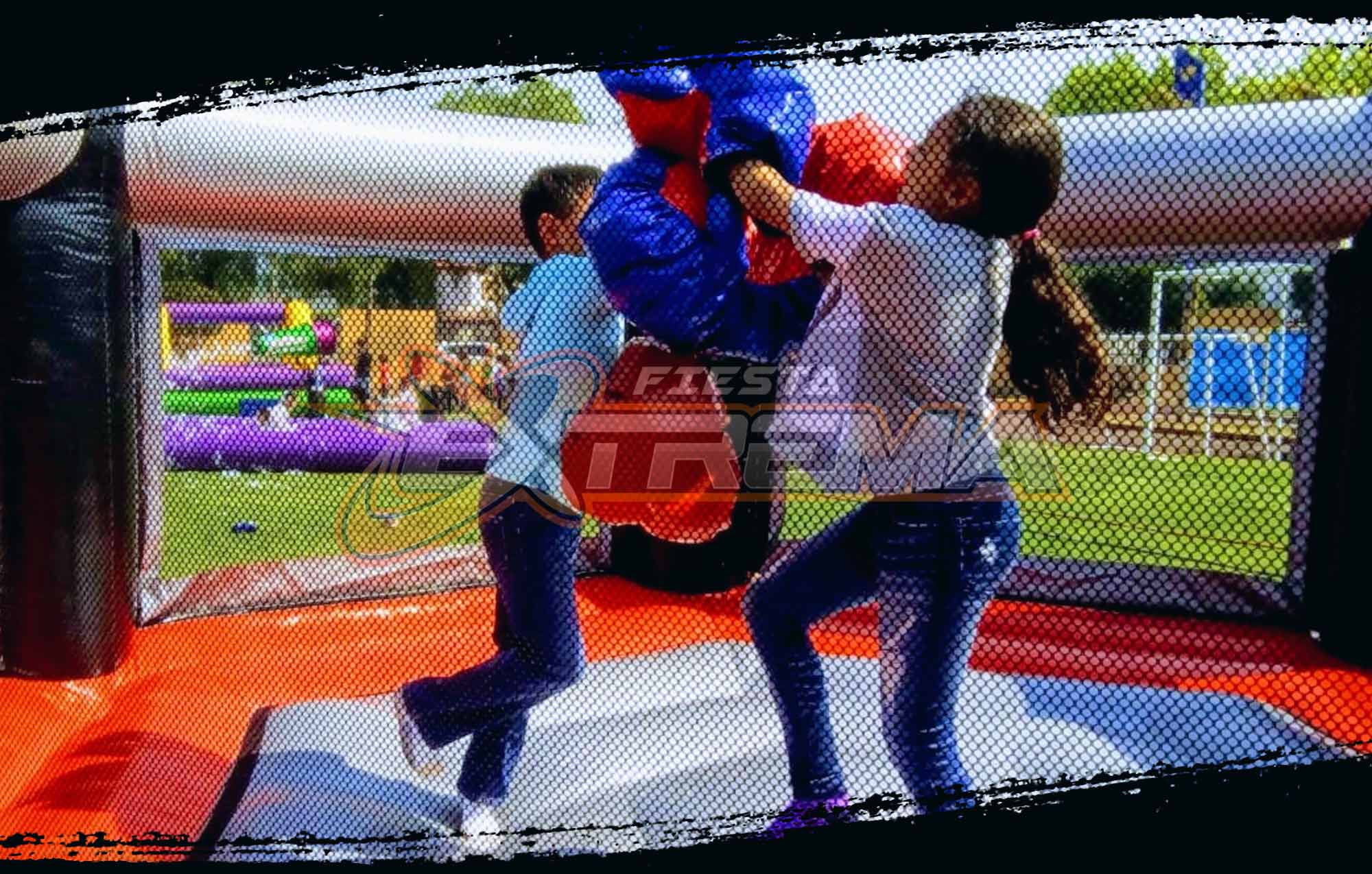 Ring De Box Inflable | Renta de Inflables CDMX | Fiesta Extrema